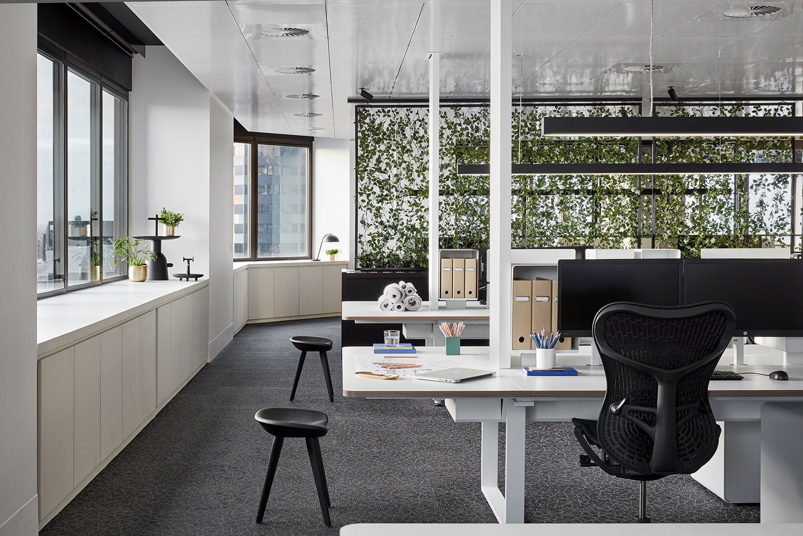 Studio Tate's office for wellness - Australian Design Review