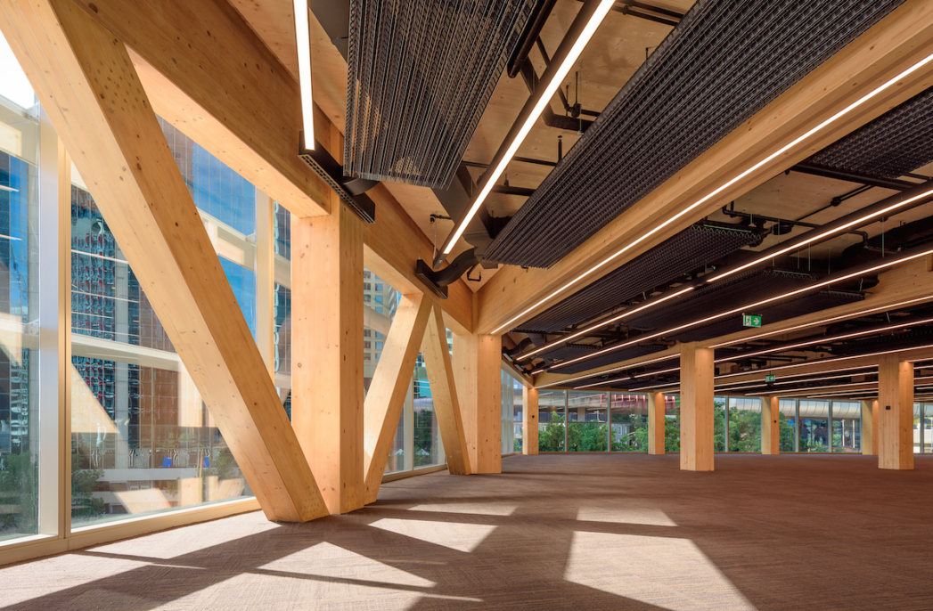 International house: a new form of beauty - Australian Design Review