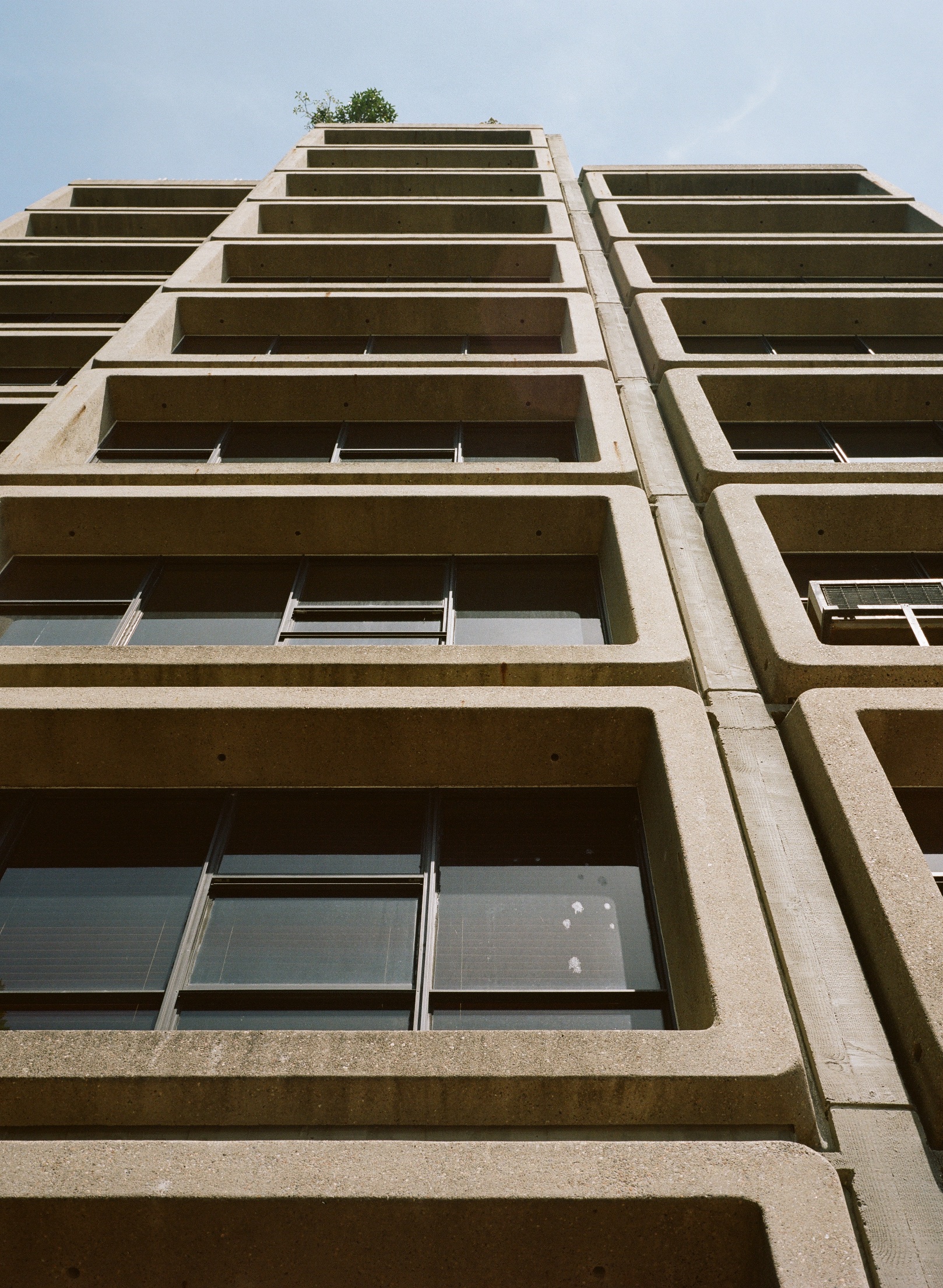 Opinion: what does the future hold for the controversial Sirius ...