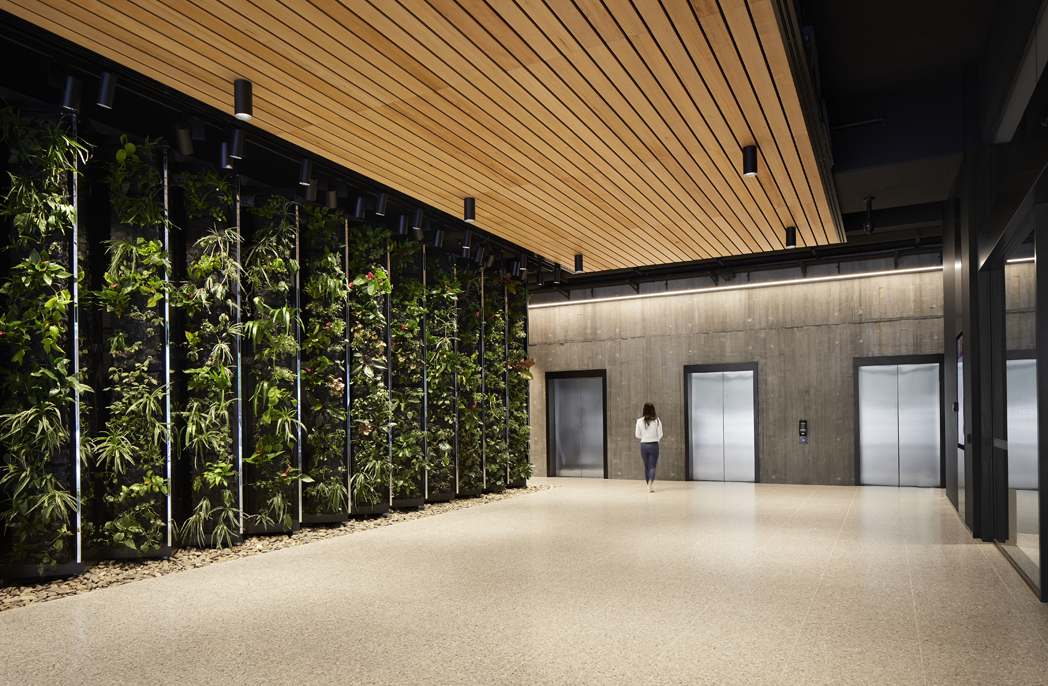 Bates Smart appoints advisory board - Australian Design Review