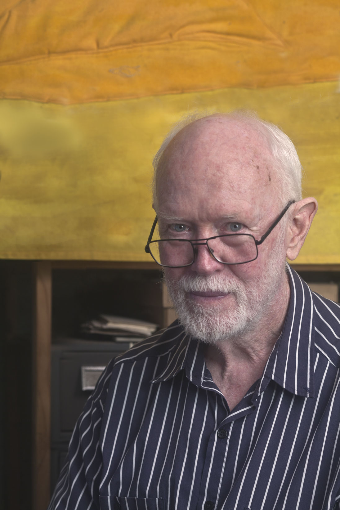 Donald Watson wins 2021 AIA Gold Medal - Australian Design Review