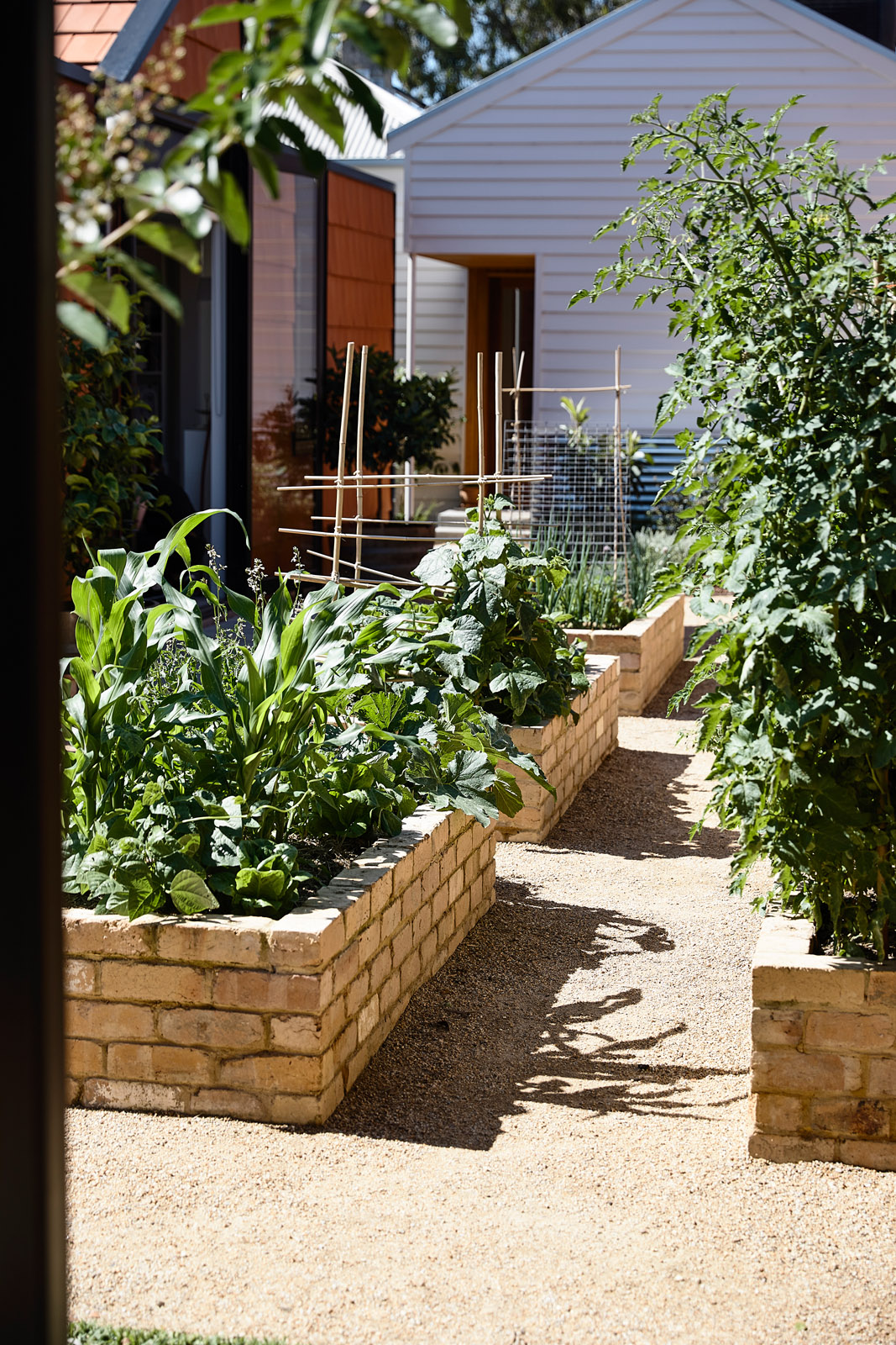 Austin Maynard Architects clad multi-generational Melbourne home in ...