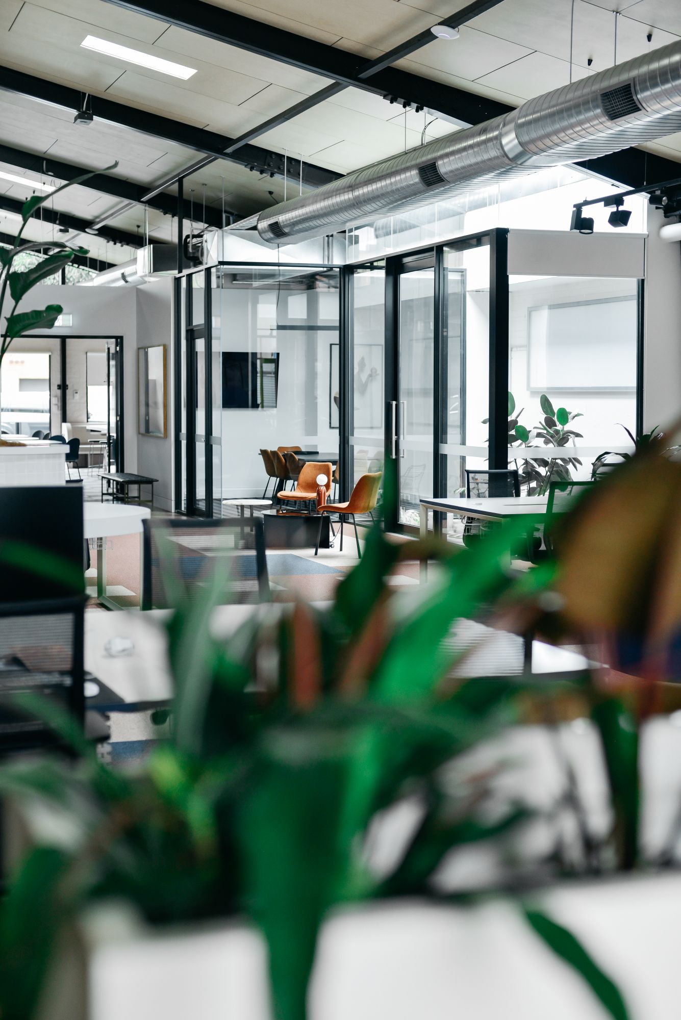 Made For uses pink and green for Frank Body warehouse in Melbourne ...