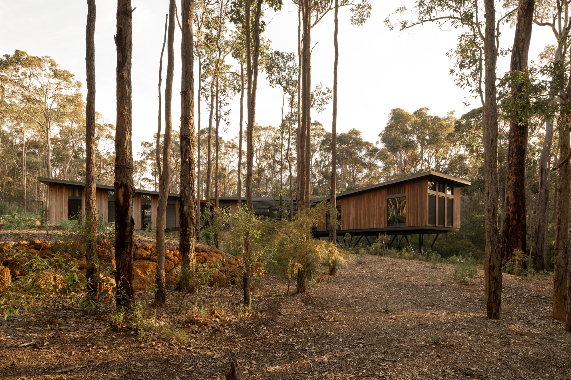 The Good Life – Treehouse by Suzanne Hunt Architect - Australian Design ...